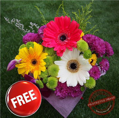 Bhm-518 baby face diaper cake - Little Flower Hut #1 Singapore Online ...