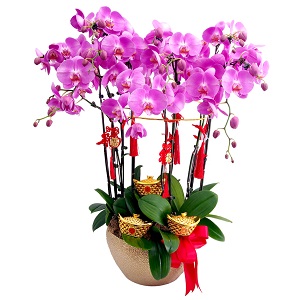 CNY-301 Bright Future - Little Flower Hut #1 Singapore Online Florist