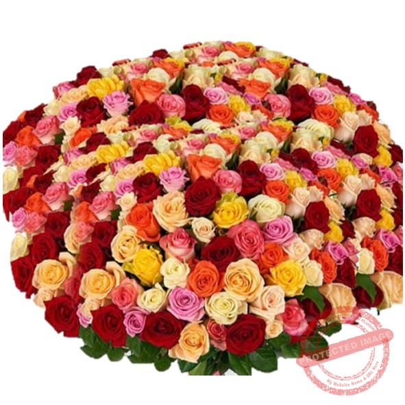 Buy 999 Roses Bouquet Online | Free Delivery | Little Flower Hut