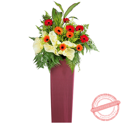 OP-67 APPLAUSE - Little Flower Hut #1 Singapore Online Florist