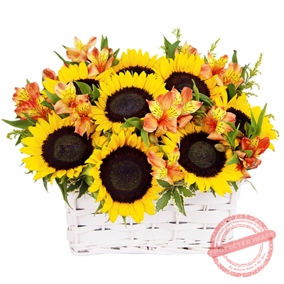 TA-163 BRIGHT SMILE - Little Flower Hut #1 Singapore Online Florist