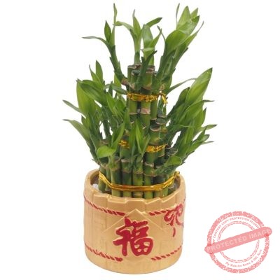 CNY-304 Bamboo 3 Tier Plant Gold Pot 大三 - Little Flower Hut #1 ...