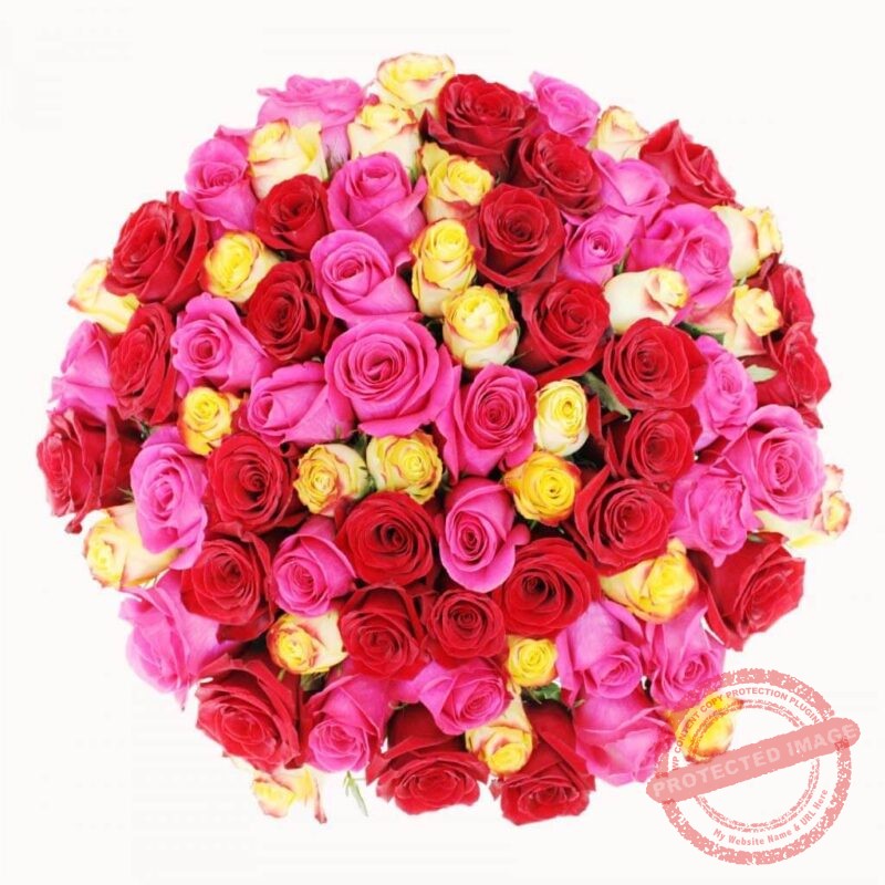Buy 999 Roses Bouquet Online | Free Delivery | Little Flower Hut