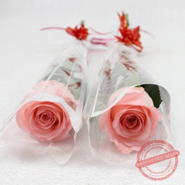 Order Premium Single Stalk Rose Singapore | Little Flower Hut