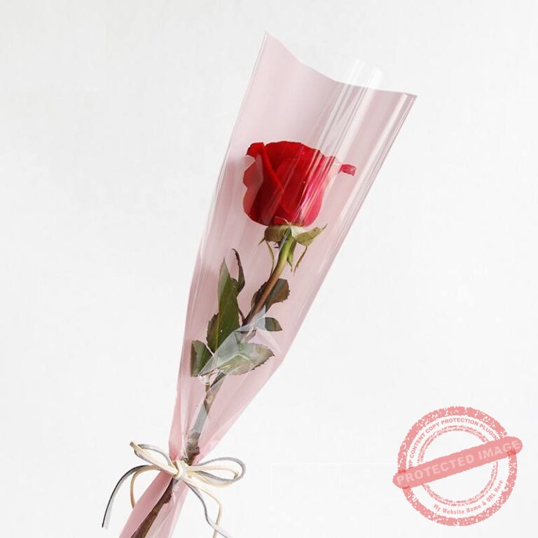 Order Premium Single Stalk Rose Singapore | Little Flower Hut