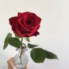 Order Premium Single Stalk Rose Singapore | Little Flower Hut