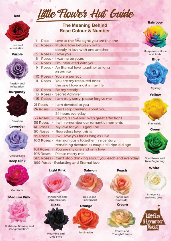 Meaning of Roses by Number and Colours - Little Flower Hut #1 Singapore ...