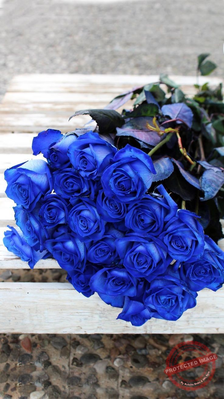 Large Blue Rose Bouquet - Amazing Blue Roses Delivery is Available Now