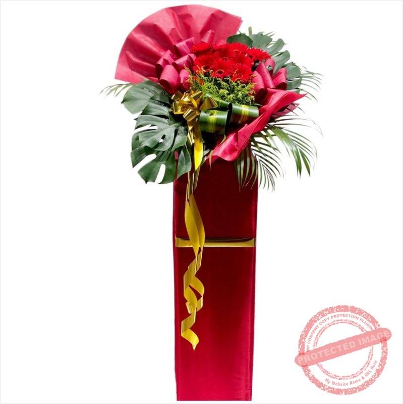 OP-146 Congratulatory Flower Stand - Best Start - Little Flower Hut #1 ...