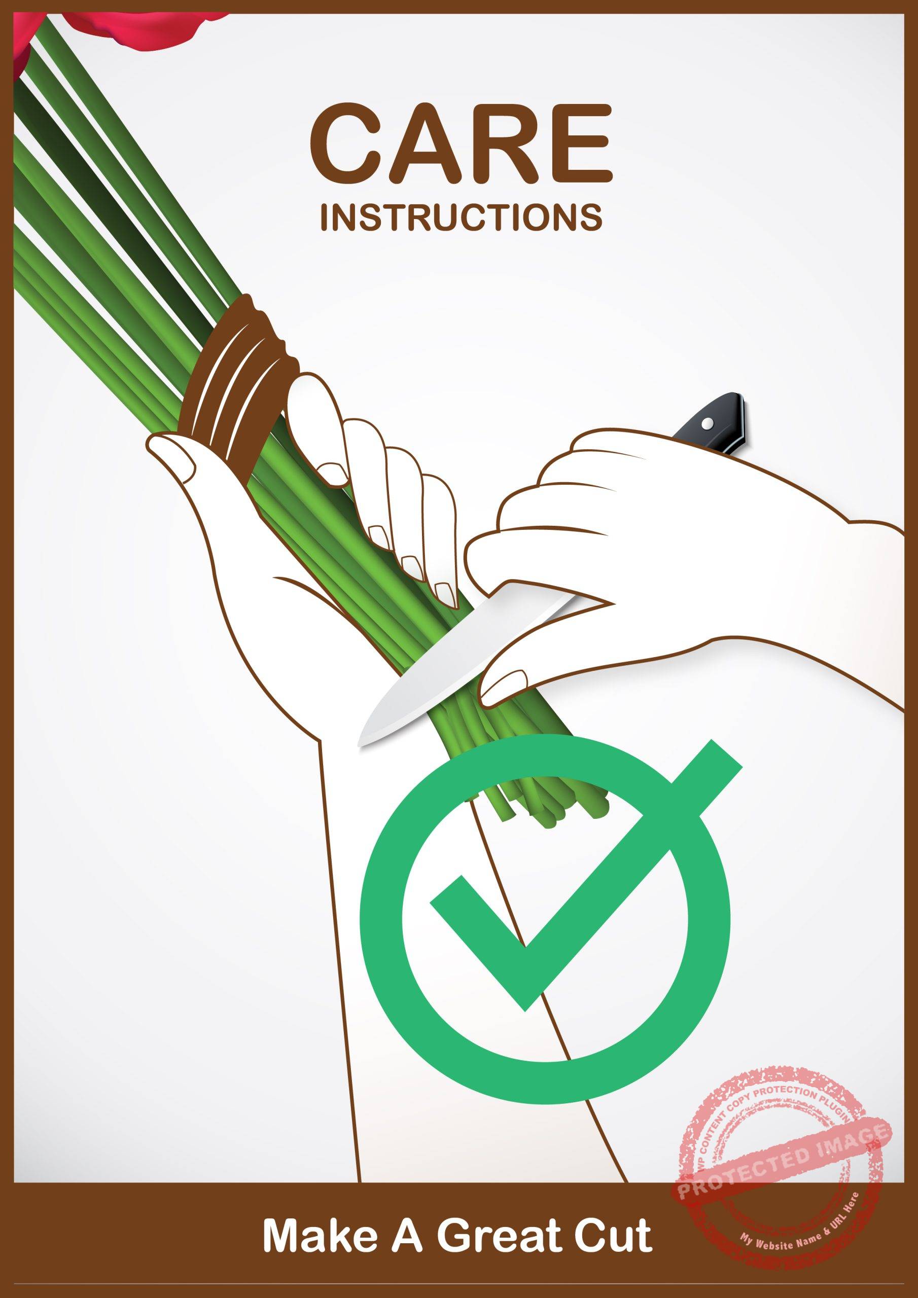 Flower Care Instructions | How To Care For Your Flowers