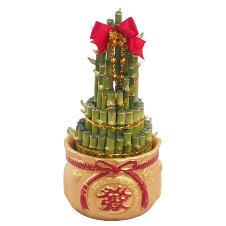 CNY-808 Buddha Blessing Hand Bamboo Plant 佛掌 - Little Flower Hut #1 ...